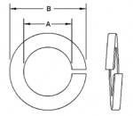 Lock Washers - Portland Bolt